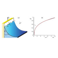 Response function of a moving contact line | Phys. Rev. Fluids
