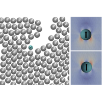 Diffusion of self-propelled particles in complex media | Phys. Rev. Fluids