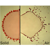 Edge effect: Liquid sheet and droplets formed by drop impact close to ...