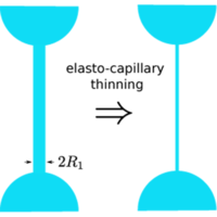 Dynamics of viscoelastic filaments based on Onsager principle | Phys ...