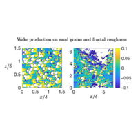 Topographical effects of roughness on turbulence statistics in ...
