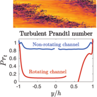 Influence of spanwise rotation and scalar boundary conditions on passive scalar transport in ...