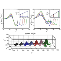 Pressure and spanwise velocity fluctuations in turbulent channel flows ...