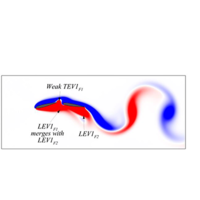 Liming Yang's Instagram, Twitter & Facebook on IDCrawl