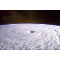 Dynamics of a trapped vortex in rotating convection | Phys. Rev. Fluids