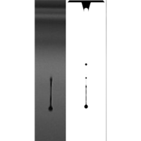 Jetting behavior in drop-on-demand printing: Laboratory experiments and ...