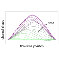 Unsteady fluid-structure interactions in a soft-walled microchannel: A one-dimensional ...
