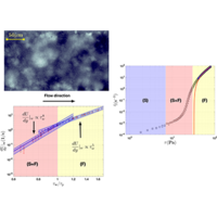 Physical Review Fluids - Volume 5 Issue 8