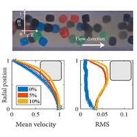 Pipe flow with large particles and their impact on the transition to ...