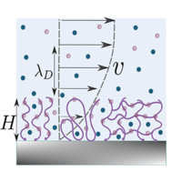 Electro-osmotic properties of porous permeable films | Phys. Rev. Fluids