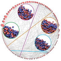 Phys. Rev. Fluids 6, 054301 (2021) - Predicting segregation of ...