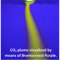 Bi-dimensional plume generated by the convective dissolution of an ...
