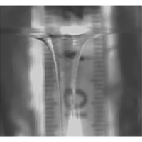 Vortex line density of superfluid suction vortex | Phys. Rev. Fluids