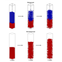 Comparison of the properties of segregated layers in a bidispersed ...