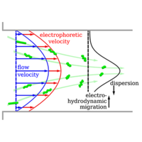 Electrohydrodynamic migration and dispersion of polyelectrolytes during ...