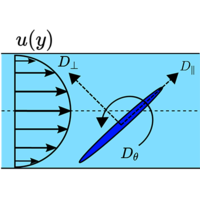 Taylor dispersion of elongated rods | Phys. Rev. Fluids