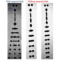 Collision dynamics of binary liquid metal droplets under horizontal magnetic field | Phys. Rev ...