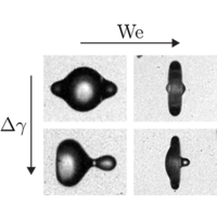 Asymmetric coalescence of two droplets with different surface tensions ...