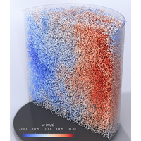 Physical Review Fluids - 2020 Gallery of Fluid Motion