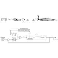 Gust mitigation through closed-loop control. II. Feedforward and feedback control | Phys. Rev ...