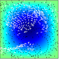 Anisotropic particles focusing effect in complex flows | Phys. Rev. Fluids