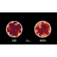 Physical Review Fluids - 2021 Gallery of Fluid Motion
