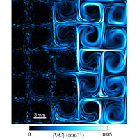 Physical Review Fluids - 2021 Gallery of Fluid Motion