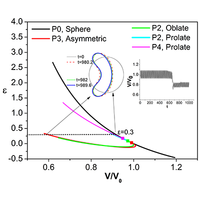 Compression-only behavior: Effect of prestress and shell rheology on ...