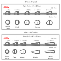 Physical Review Fluids - Volume 7 Issue 11