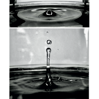 Axisymmetric gravity-capillary standing waves on the surface of a fluid ...