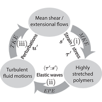 Physical Review Fluids - Volume 8 Issue 1