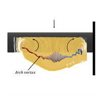 Three-dimensional separation over unswept cantilevered wings at a ...