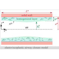 Effects of elastoviscoplastic properties of mucus on airway closure in ...