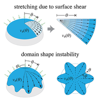 Curvature and shape relaxation in surface-viscous domains | Phys. Rev ...