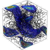 Vorticity locking and pressure dynamics in finite-temperature superfluid turbulence | Phys. Rev ...