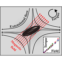 Ferrofluid droplets in planar extensional flows: Droplet shape and ...