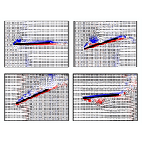 Experimental mitigation of large-amplitude transverse gusts via closed-loop pitch control | Phys ...