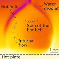 Azimuthal rotation induced by the Marangoni force makes small ...