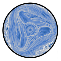 Physical Review Fluids - 2022 Gallery of Fluid Motion