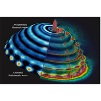 Physical Review Fluids - 2022 Gallery of Fluid Motion