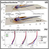 Physical Review Fluids - 2022 Gallery of Fluid Motion