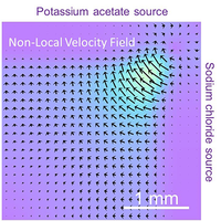 Physical Review Fluids - Volume 9 Issue 1
