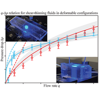 Flow rate--pressure drop relations for shear-thinning fluids in deformable configurations ...