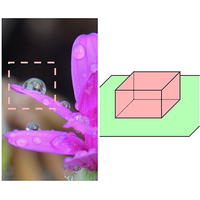 [Phys. Rev. Fluids 9, 043601] Published Mon Apr 01, 2024 Cuboid drop: A ...