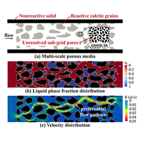 Microcontinuum approach to multiscale modeling of multiphase reactive flow during mineral ...