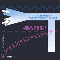 Enhanced diffusiophoresis in dead-end pores with time-dependent ...