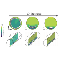 Numerical investigation on particle inertial migration in circular ...