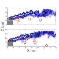 Dispersion of inertial particles in turbulent canopy flows with buoyant and nonbuoyant plumes ...
