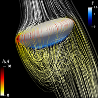 Coupled volume of fluid and phase field method for direct numerical simulation of insoluble ...