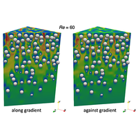 Effect of the volume fraction gradient on the phase interaction force ...
